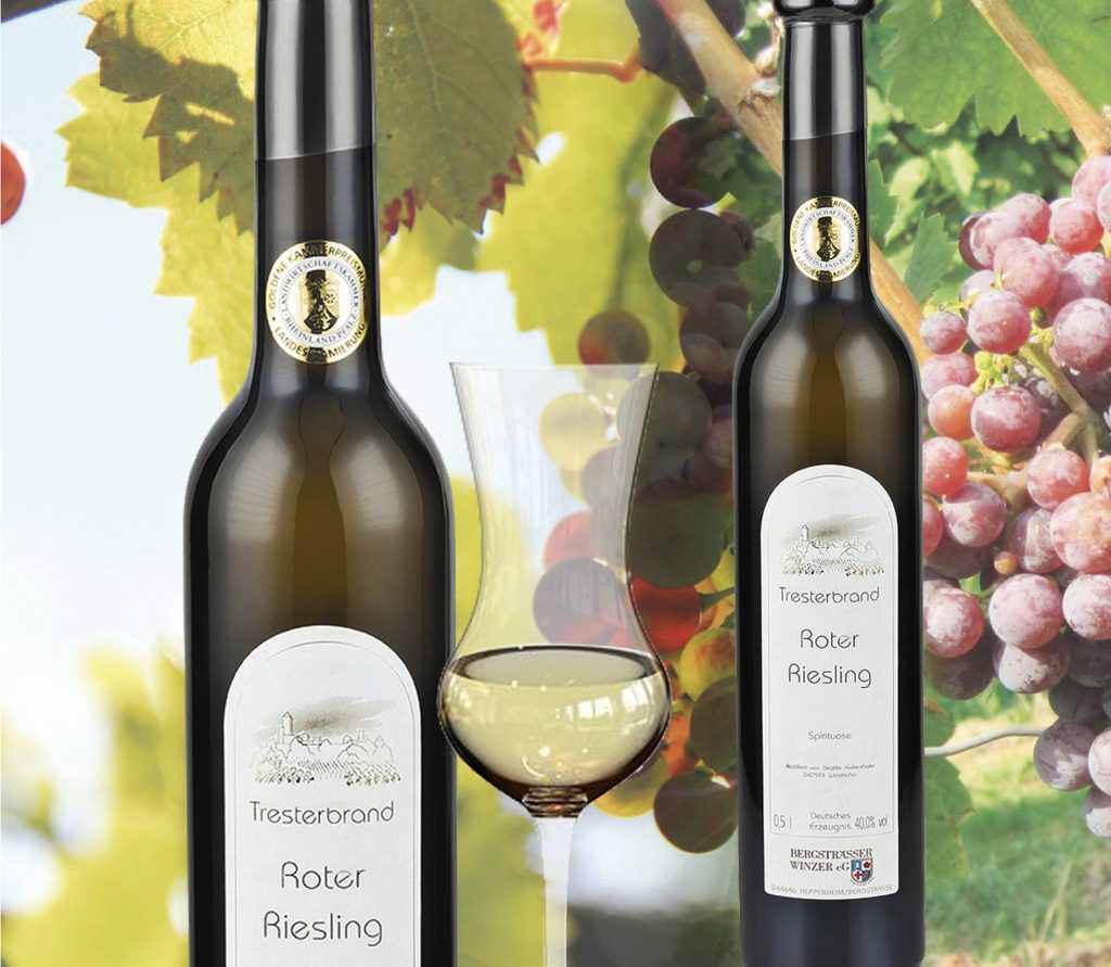 AKTUELL - Land des Roten Rieslings